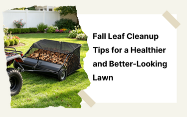 Fall Leaf Cleanup Tips for a Healthier and Better-Looking Lawn – AECOJOY
